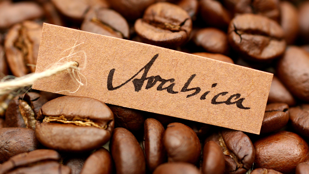 The Ultimate Guide to Arabica Coffee - 1Zpresso
